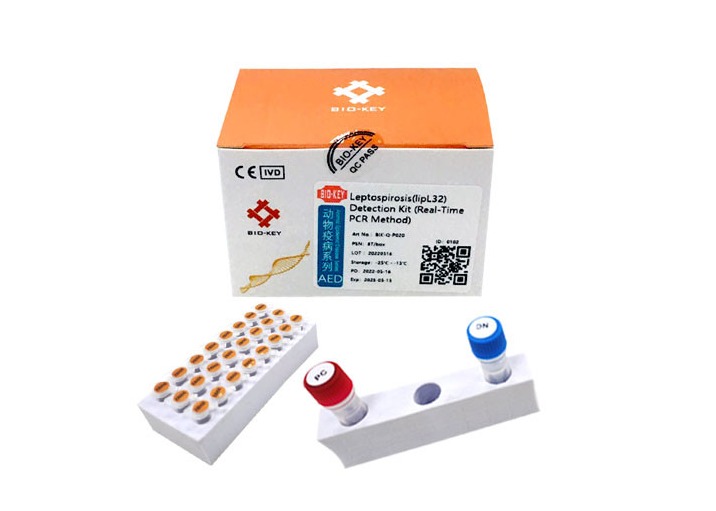 CLep Canine Dog ชุดทดสอบ DNA Polymerase Leptospira Test Fluorescence PCR