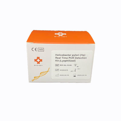 การติดเชื้อแบคทีเรียทางเดินอาหาร NAT Fluorescent Quantitative H Pylori ...