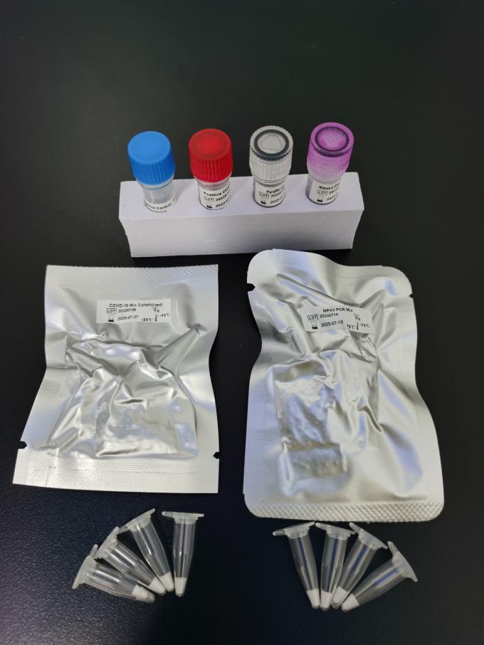 เรียลไทม์ HSV-6 Herpes Simplex Virus PCR Lyophilized 24tests/Kit